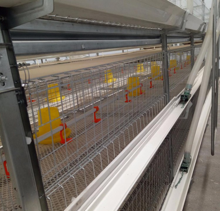 Baby Chick Battery Cage System | Livi Battery Cage Equipment
