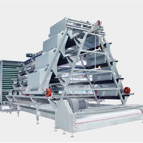 Poultry Feeding System - Livi Poultry Farming Equipment