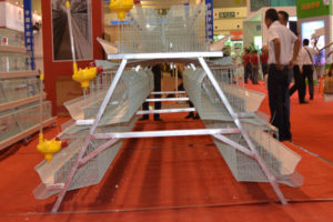 Commercial Chicken Brooder Cage for Sale in Chicken Farm Equipment ...